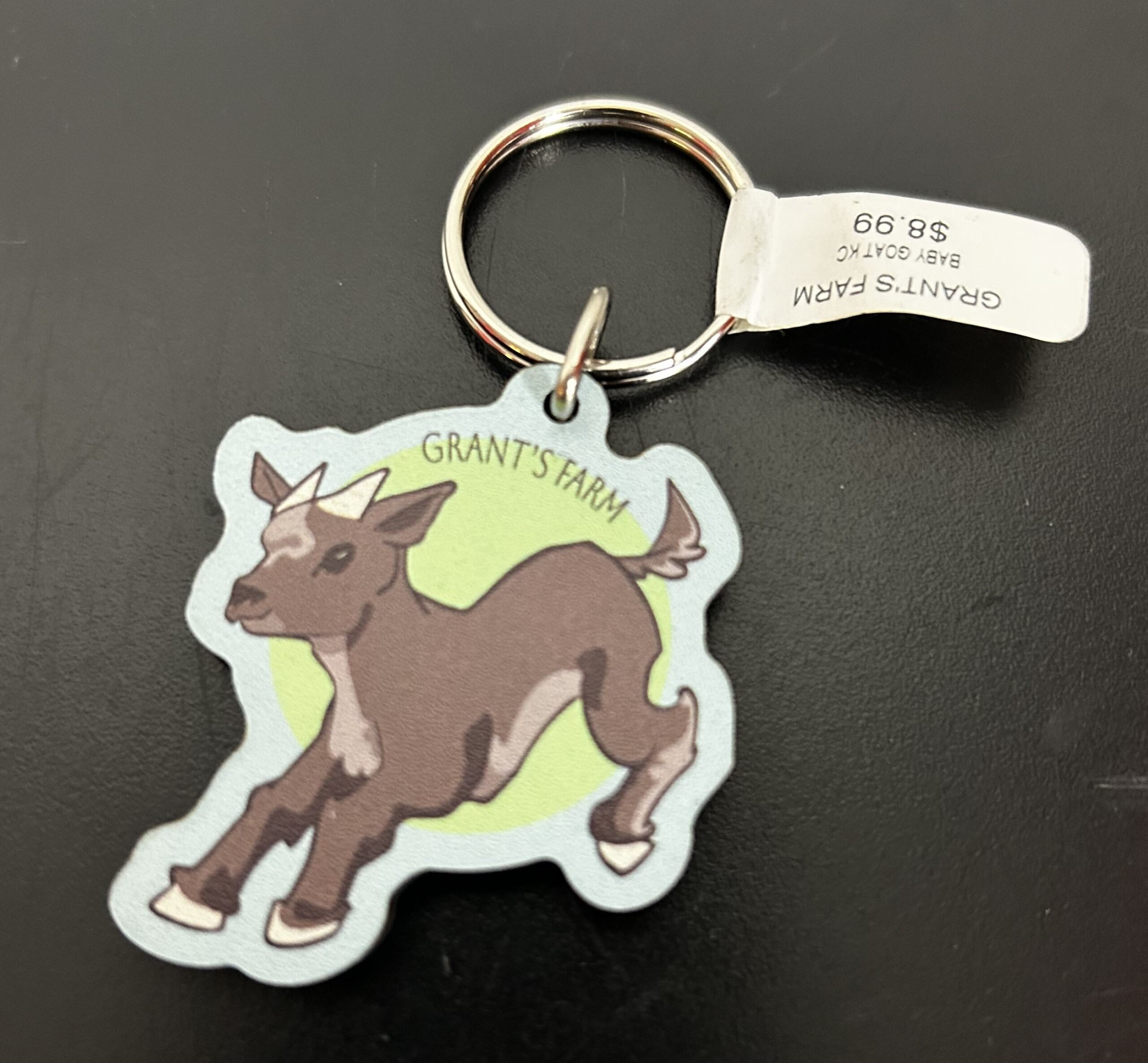 KC Baby Goat Photo Shape | Grant's Farm, LLC