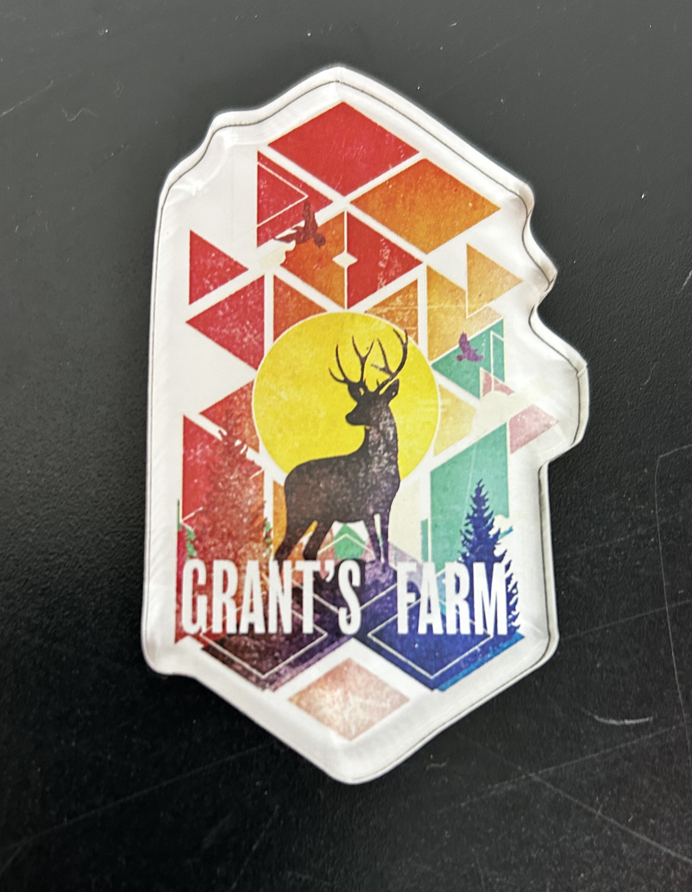 Cathedral Deer Plexy Photo Magnet | Grant's Farm, LLC